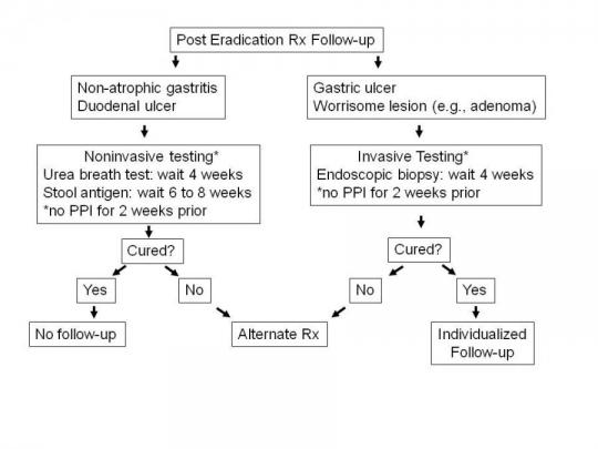Helicobacter Pylori Infection The Clinical Advisor