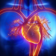 Case Study Lower Extremity Edema And Heart Failure In A Middle aged 
