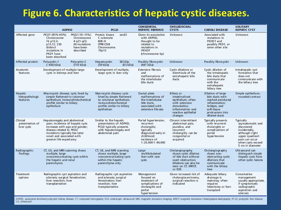 Gallstones and hepatic cysts - The Clinical Advisor