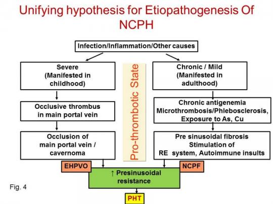 Noncirrhotic portal hypertension - The Clinical Advisor