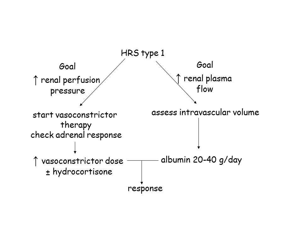 Hepatorenal syndrome - The Clinical Advisor